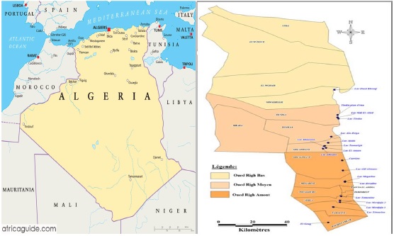 Ethnobotanical study of some plants used in traditional medicine in the ...