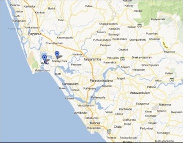 Herbal remedies of Madayipara hillock tribals in Kannur district ...